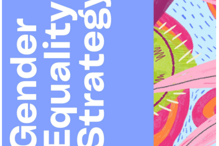 Undp Maldives Gender Equality Strategy 2023 2026 United Nations In